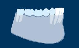 The SAC Classification 1st Edition - Learning Modules - Home - ITI